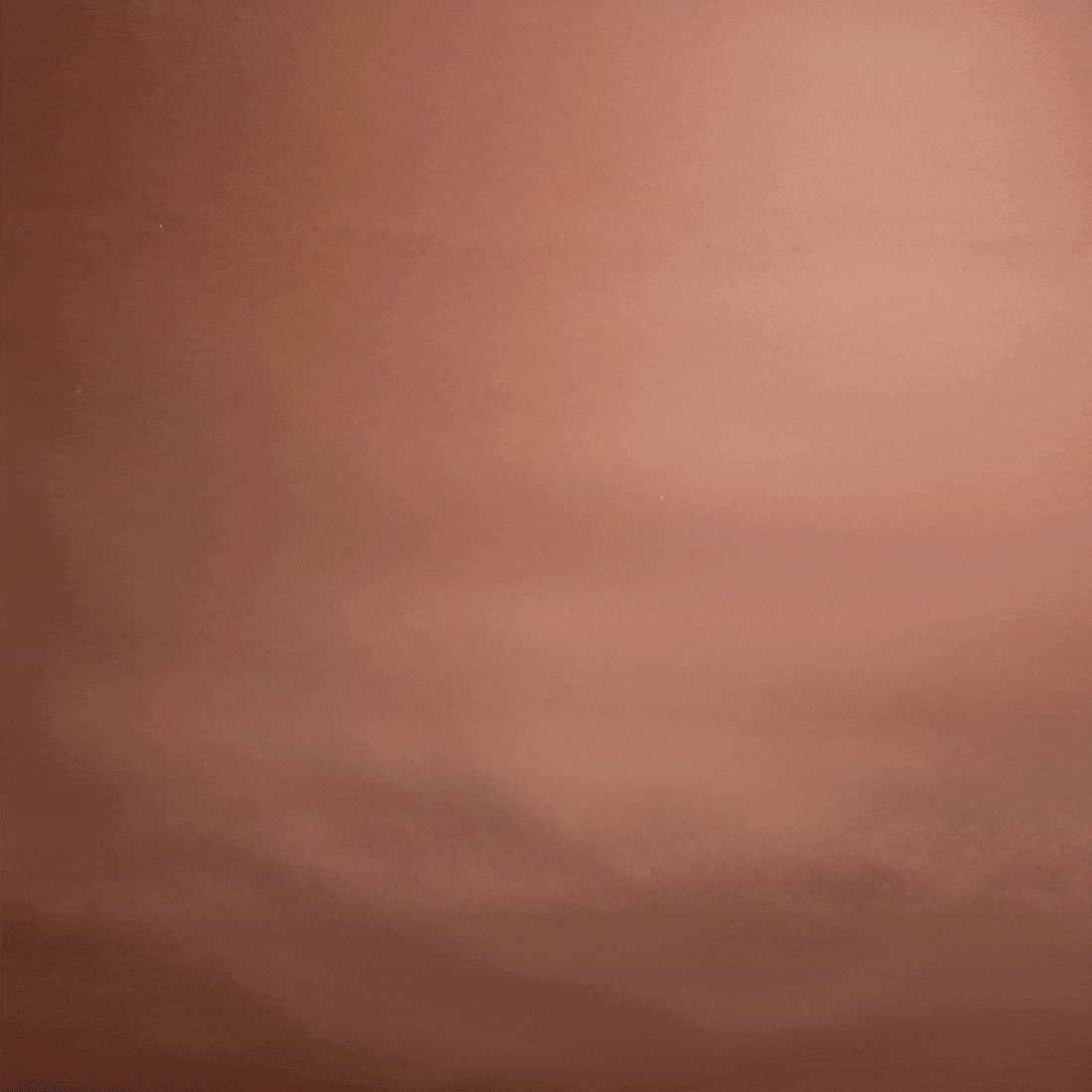 Didier Ranch: Beef Boxes Straight From Our Okla