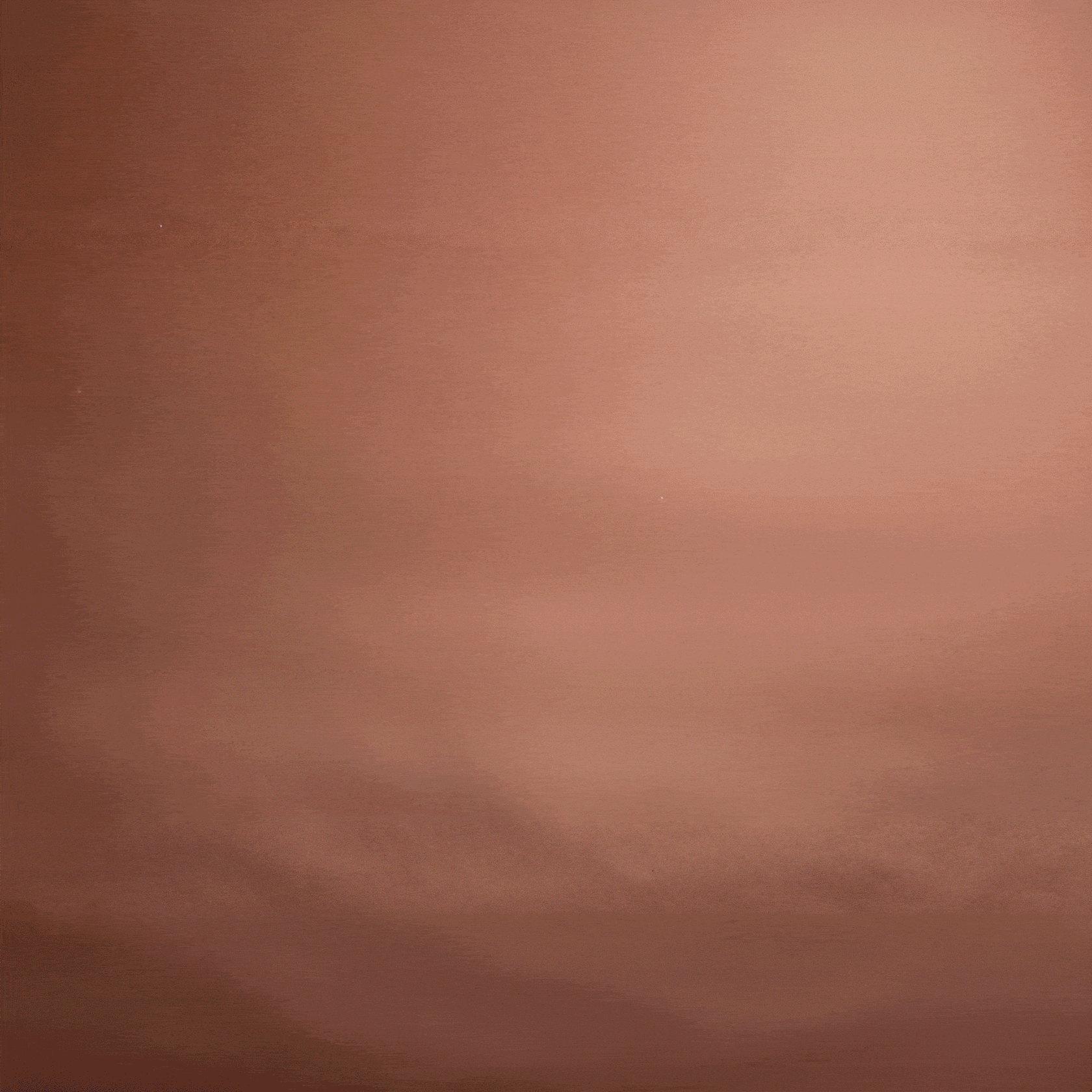 Didier Ranch: Beef Boxes Straight From Our Okla